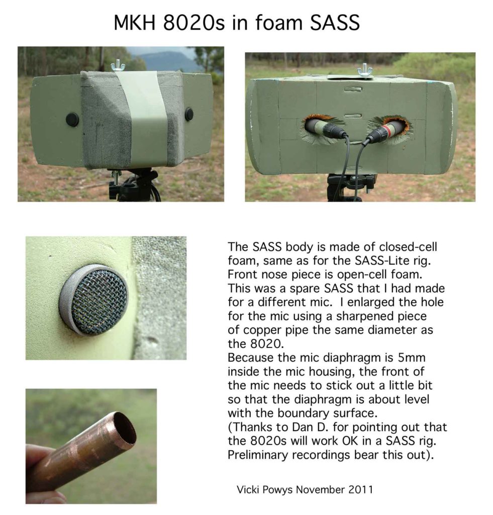 Recording gear 2 | caperteebirder.com